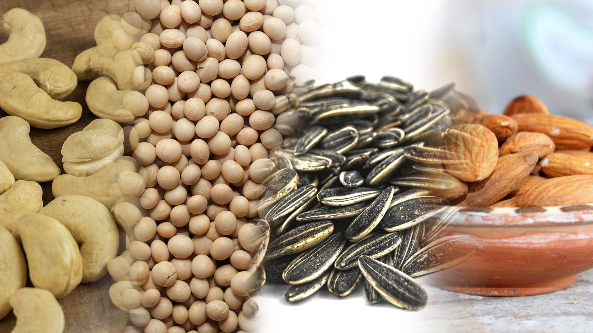 WSJ General Trading LLC