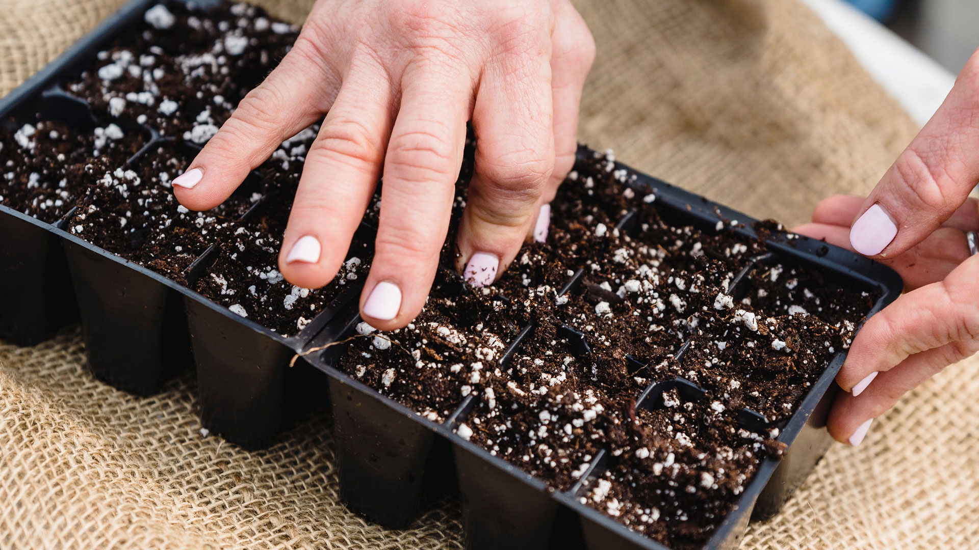 WSJ General Trading LLC