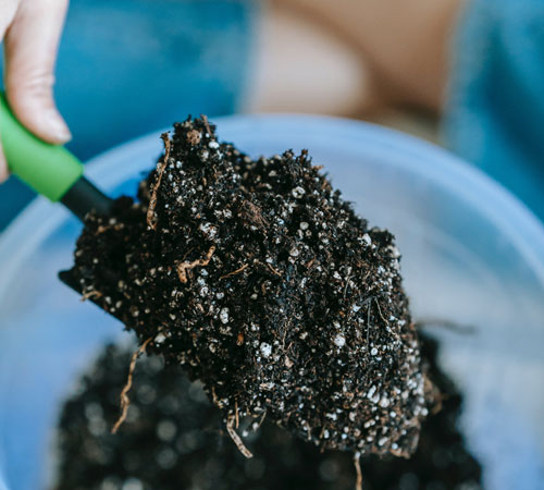 WSJ General Trading LLC