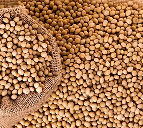 WSJ General Trading LLC